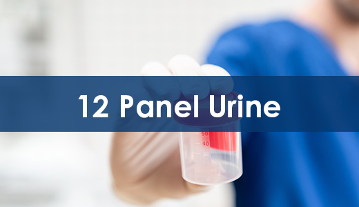Drug Test – 12 Panel Urine (Non-DOT Lab Test) - Greenville, SC