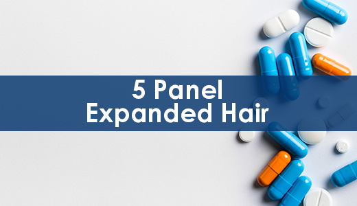 Drug Test – 5 Panel Expanded Hair - North Tampa