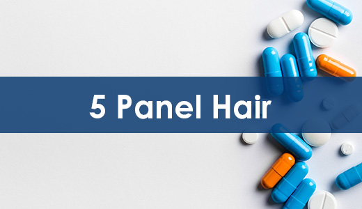 Drug Test – 5 Panel Hair - North Scottsdale