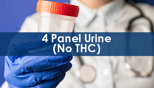 4 Panel W/O THC - North Scottsdale